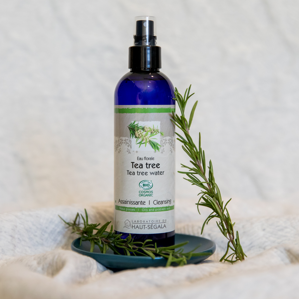 Eau florale de tea tree certifiée BIO - Laboratoire Haut-Ségala